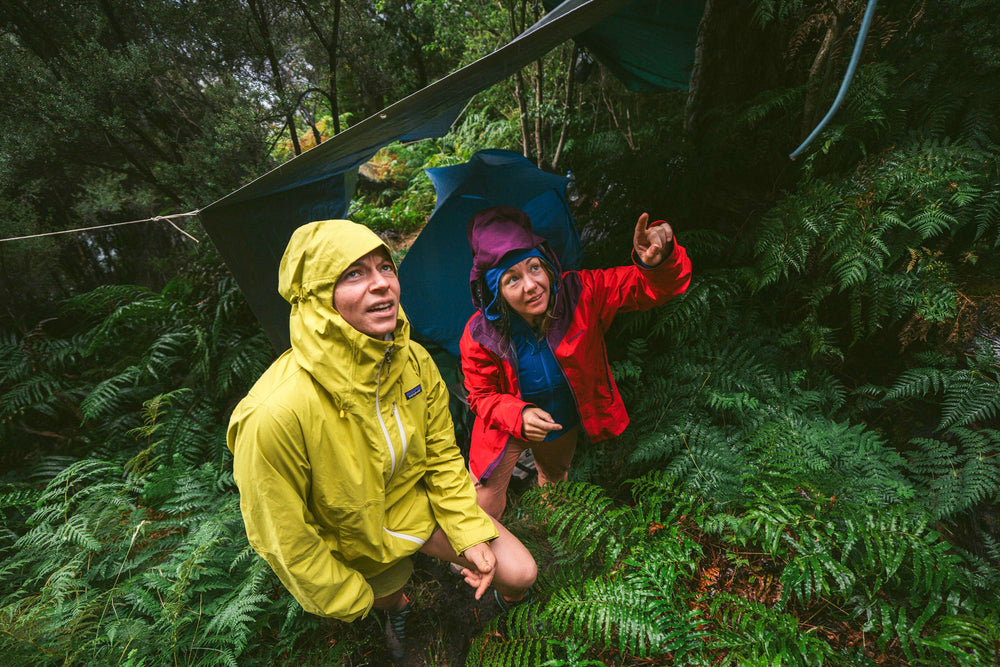 Shop All Outdoor Clothing & Gear by Patagonia